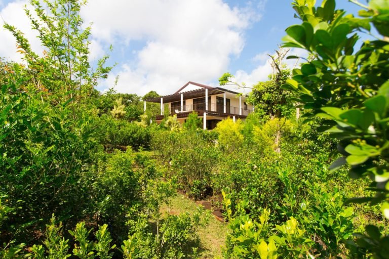 The Veranda at Bella Rosa Farm - Town's Delight