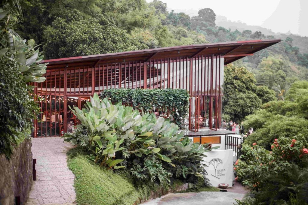 Narra Hill - Town's Delight